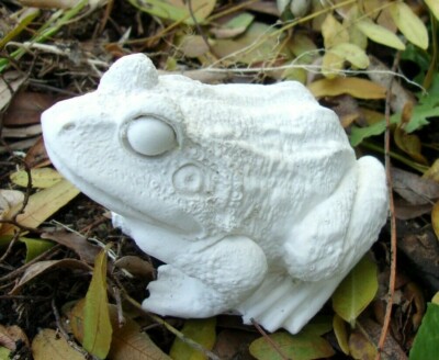 Latex frog mold plaster cement rubber toad mould 3.5"L x 2.5" | eBay