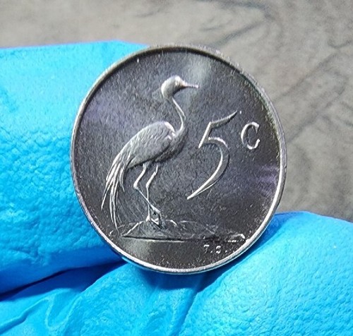 1967 South Africa 🇿🇦 5 Cents Foreign Rand Proof Animal Coin KM67.2 25k ...