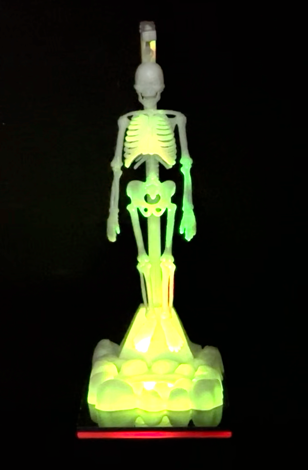 Dencomm Aurora Moebius Monster Scenes 1/13 Skeleton Glow model kit ...