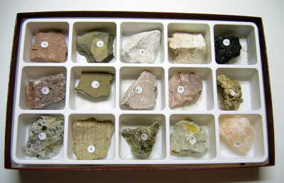 SEDIMENTARY ROCK COLLECTION | eBay