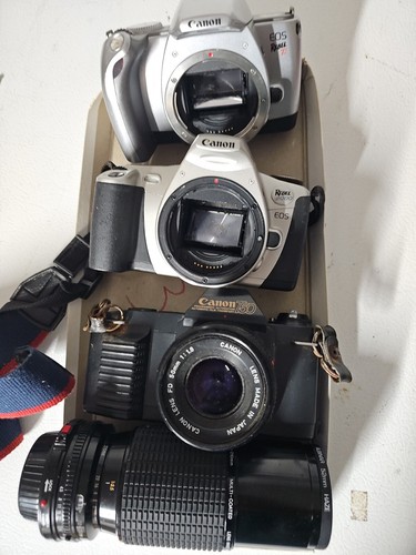 Canon EOS Rebel Ti, Rebel 2000, T50 Camera + Canon FD 50mm and Sigma 70 ...