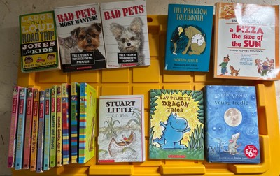 Lot 19 Children’s Books Elementary Age Kids Reading Ramona Ribsy Stuart ...