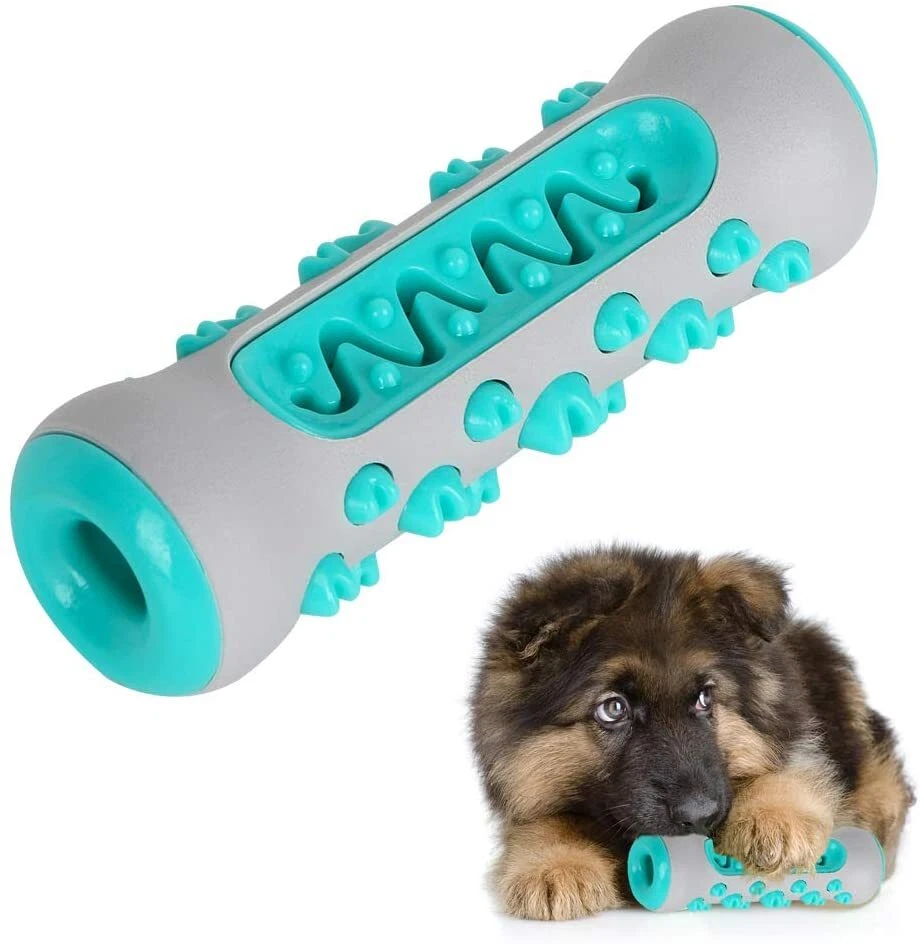 Do Bones Keep Dogs Teeth Clean