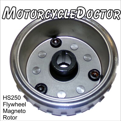 Flywheel Magneto Rotor HS250 w/Bearing,250,HS,HiSUN,MASSIMO,BENNCHE ...