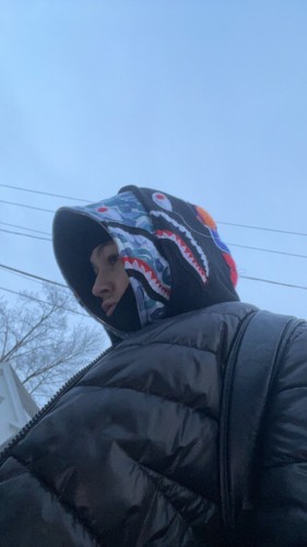 a bathing ape abc camo double hood | eBay