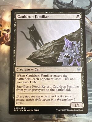 1x Cauldron Familiar Throne of Eldraine LP MTG Magic the Gathering x1 ...