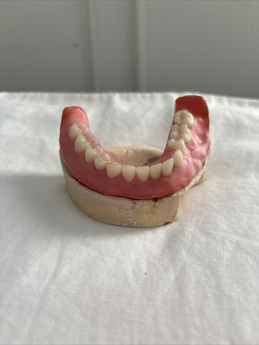Vintage Teeth Wax Dentures Lowers - Medical Oddity Collectible | eBay