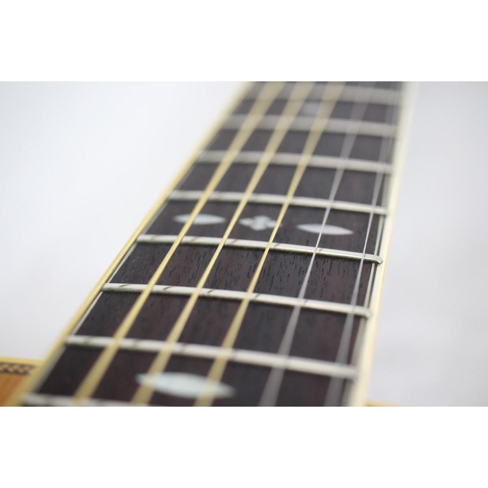 Gallagher GL-10 Acoustic Guitar with Hard Case, Slight Wear, Mid Range ...