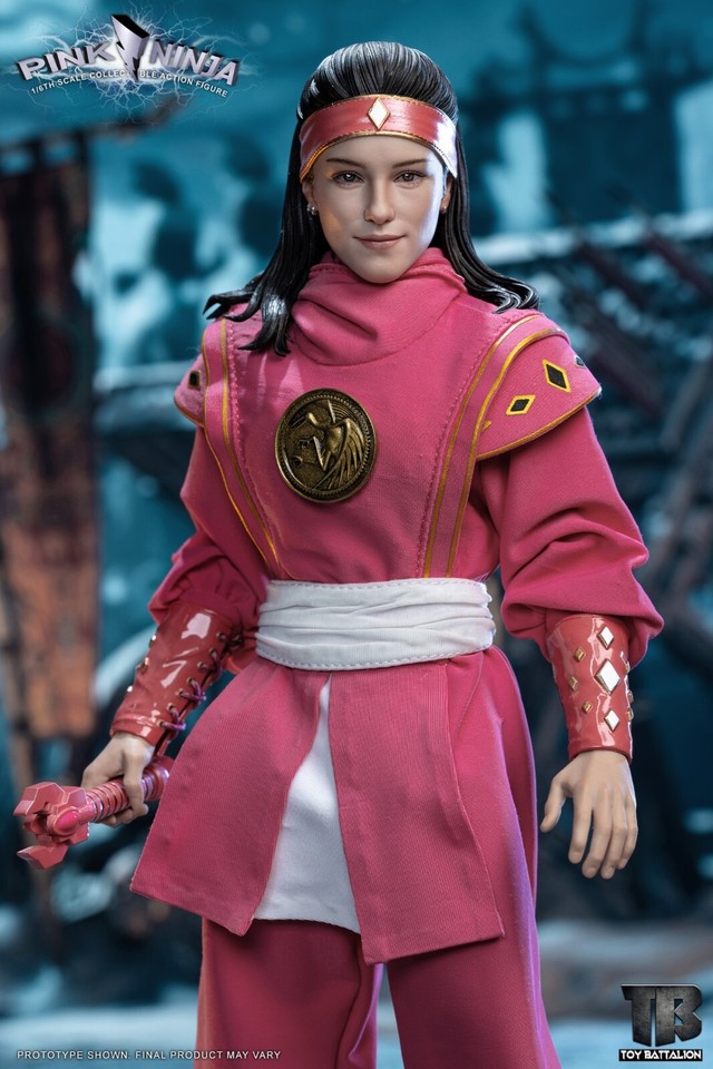 TOYS BATTALION TB018 1/6 Pink Ninja Collectible Female Action Figure ...