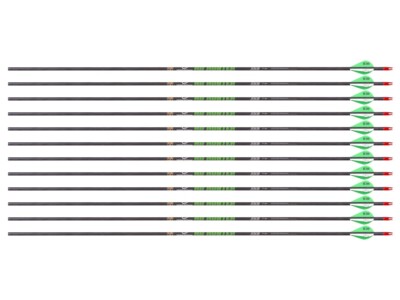 PSE CARBON FORCE .359 SPINE ARROWS ONE DOZEN GREEN/WHITE VANES | eBay