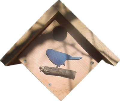 Cube Bird House, 11", Nesting Box, Bird Houses by Mark, Made in USA | eBay