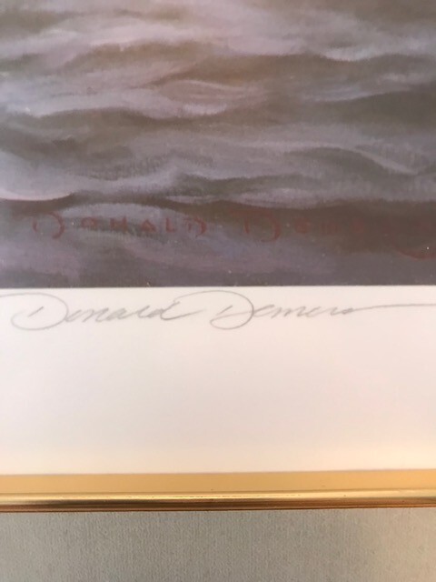 Donald Demers Framed Limited Edition Print "Light Run" | eBay