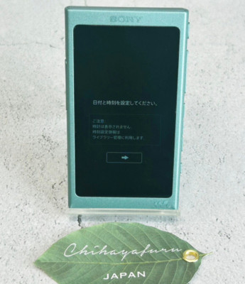Sony NW-A45 Walkman High Performance Portable Digital Audio Player Fast ...