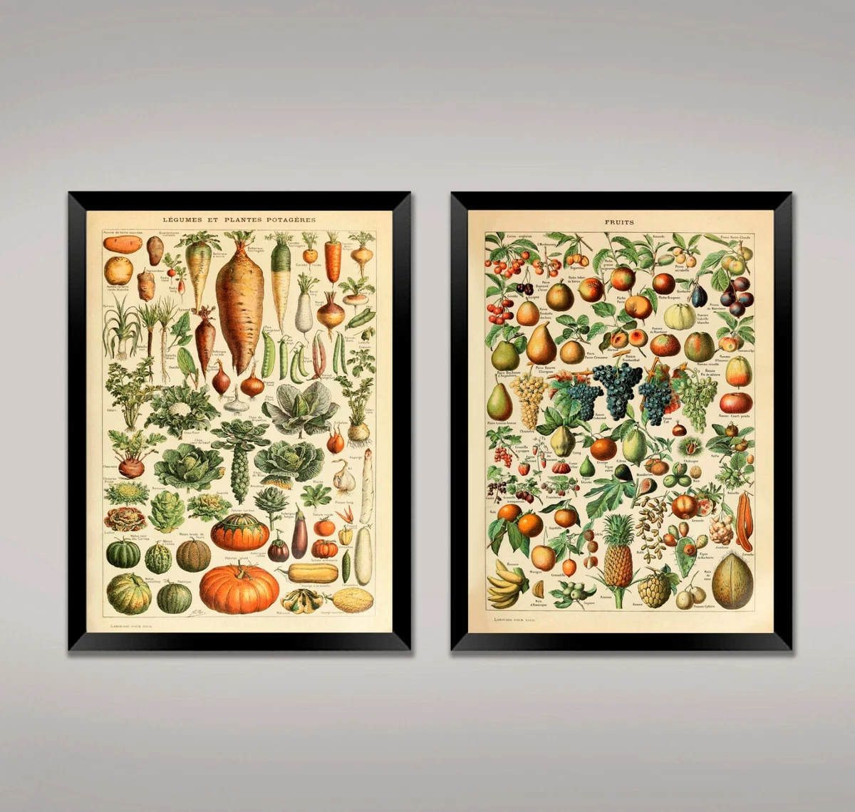 Vintage Vegetable Posters