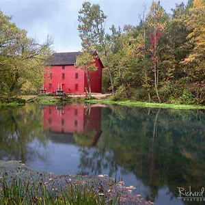 Picker In The Ozarks | eBay Stores