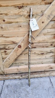 Twisted Twisty Wood Birch Hazel Walking Stick Cane Blank Shank | eBay UK