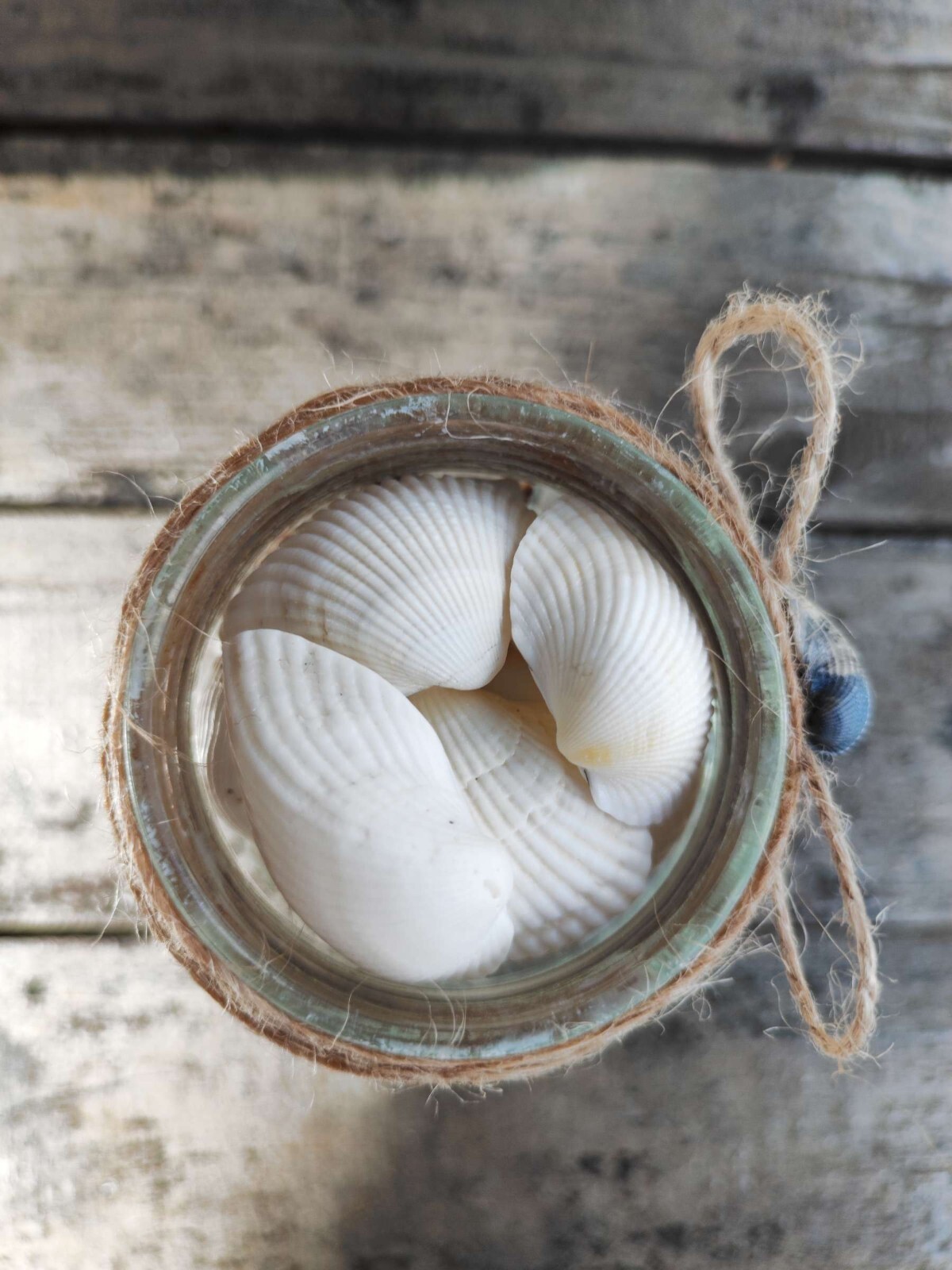 Rustic Sea shell Jars for Coastal Living: Handcrafted with Natural ...