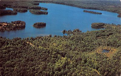 SAYNER WISCONSIN RAZORBACK LAKE AERIAL VIEW POSTCARD 1962 | eBay