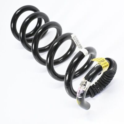 Genuine OEM GM Coil Spring Front L/R 20760344 | eBay