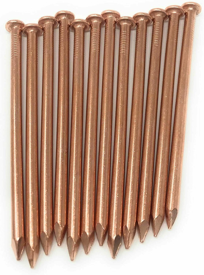 12 Pack USA Made! Copper 4 Inch Long Nail Spikes, Kills Trees Stumps ...
