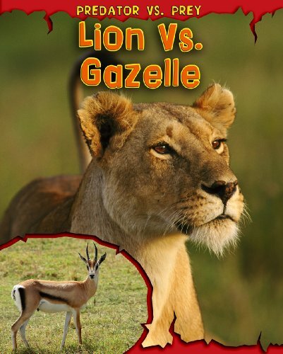 LION VS. GAZELLE (PREDATOR VS. PREY) By Mary Meinking **BRAND NEW ...