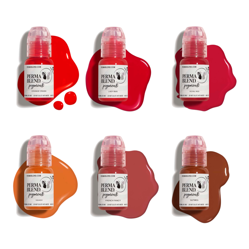 PERMA BLEND Set Kit Permanent Makeup Microblading Pigments Permablend ...