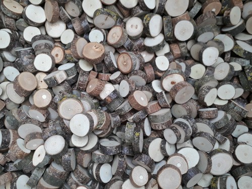 WHOLESALE 2-10CM Wood Log Slices Discs Round Wedding Rustic ECO Crafts ...