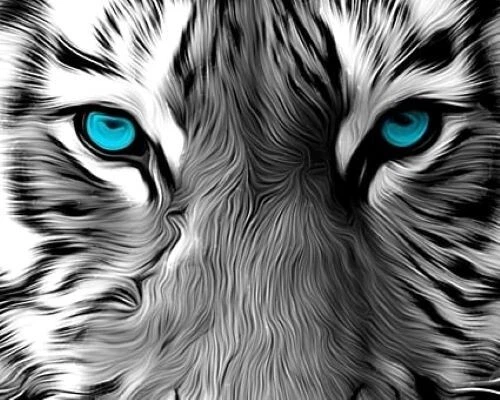 Abstract White Tiger