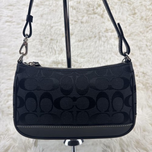 Coach Signature Demi mini Pouch Bag Canvas Leather Black 6094 | eBay