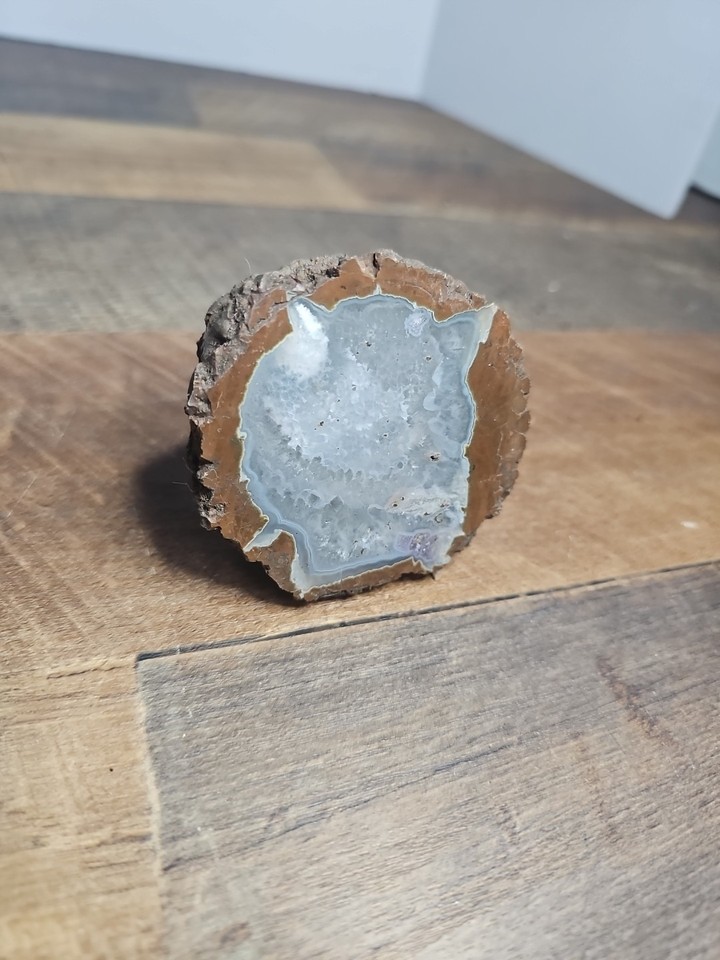 Dugway Thunderegg Polished Rock Geode Blue Agate. Skull With Horns ...