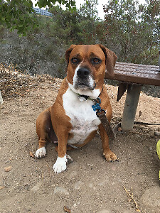 858 cards and bricks | eBay Stores