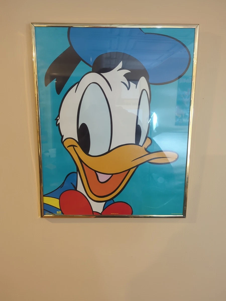 Disney Donald Duck Gezicht