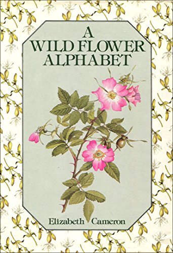 A Wild Flower Alphabet for My Dillington Grandchildren: Ewen Allan ...