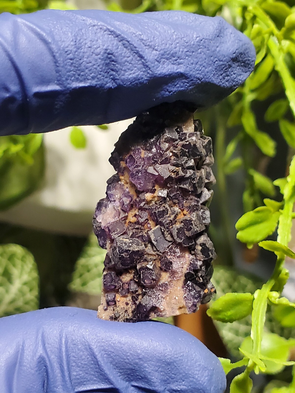 Natural Purple QR code Fluorite Crystal Cube Rare Mineral Specimen ...