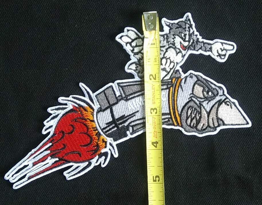 F-14 TOMCAT AIM-54C Phoenix AAM Air to Air Missile Grumman Military ...