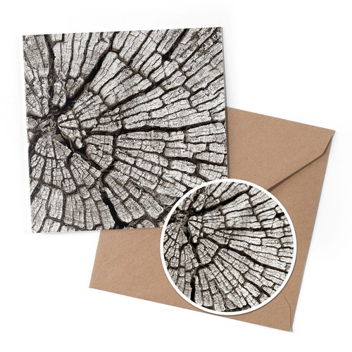 1 x Greeting Card & 10cm Sticker Set - Forest Tree Bark #14147 | eBay UK