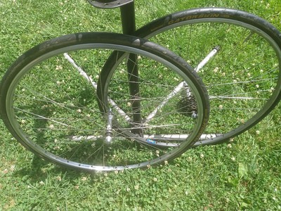 Wheels & Wheelsets - Weinmann Rims - Nelo's Cycles