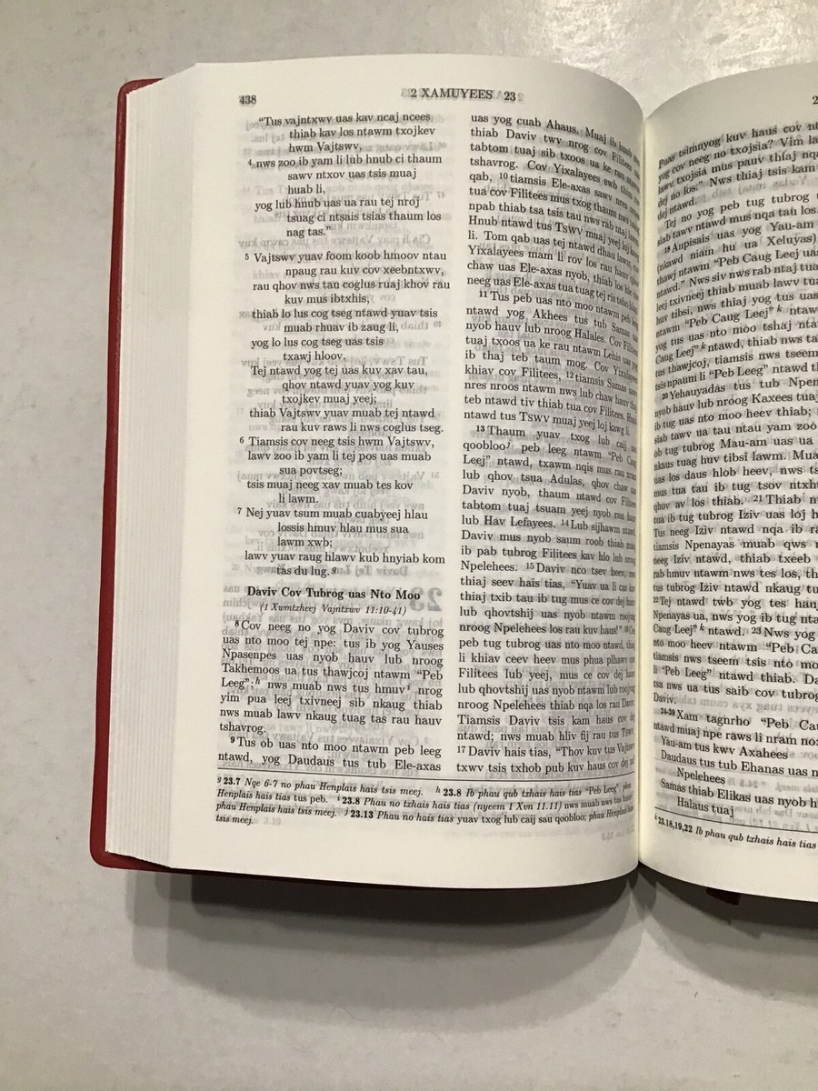 Hmong Movie Liab Qab