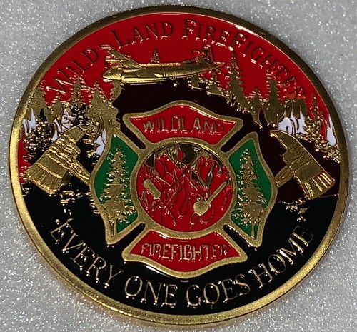 * Firefighter Challenge Coin Wildland Fire Fighter Brotherhood First In ...
