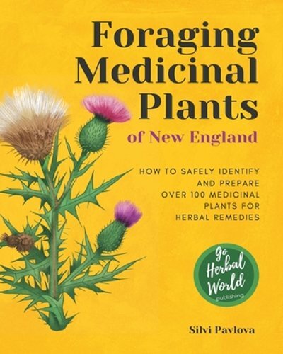 Foraging Medicinal Plants of New England: How to safely identify and ...