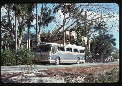 Bus Palm Trees 35mm Slide 1970s Kodachrome | eBay