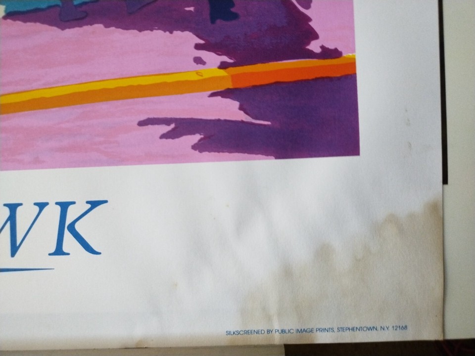 large 26x36 KITES by Ken Hawk | eBay