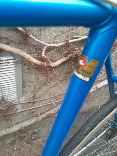 Vélo Atala Course / Vintage Italian Bike Atala, 80's, Campagnolo Nuovo Record | eBay