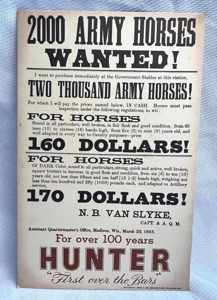 Horses Wanted