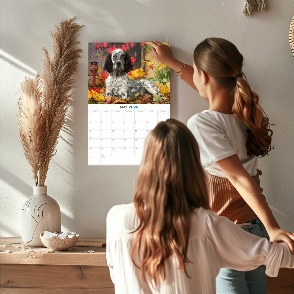 English Setter Dog Breed Calendar 2026 12x18 Made in USA | eBay