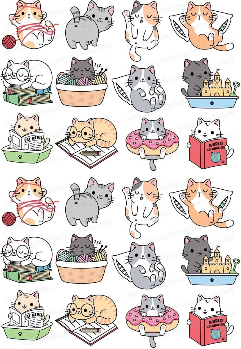 Muffin Top Cat