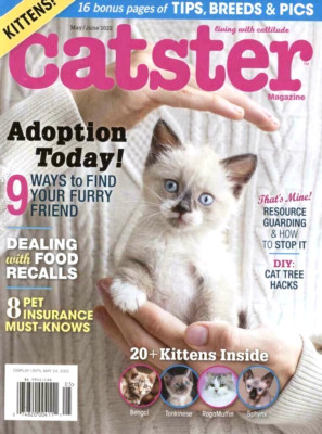 CATSTER MAGAZINE | MAY/JUN 2022 | ADOPTION TODAY | eBay