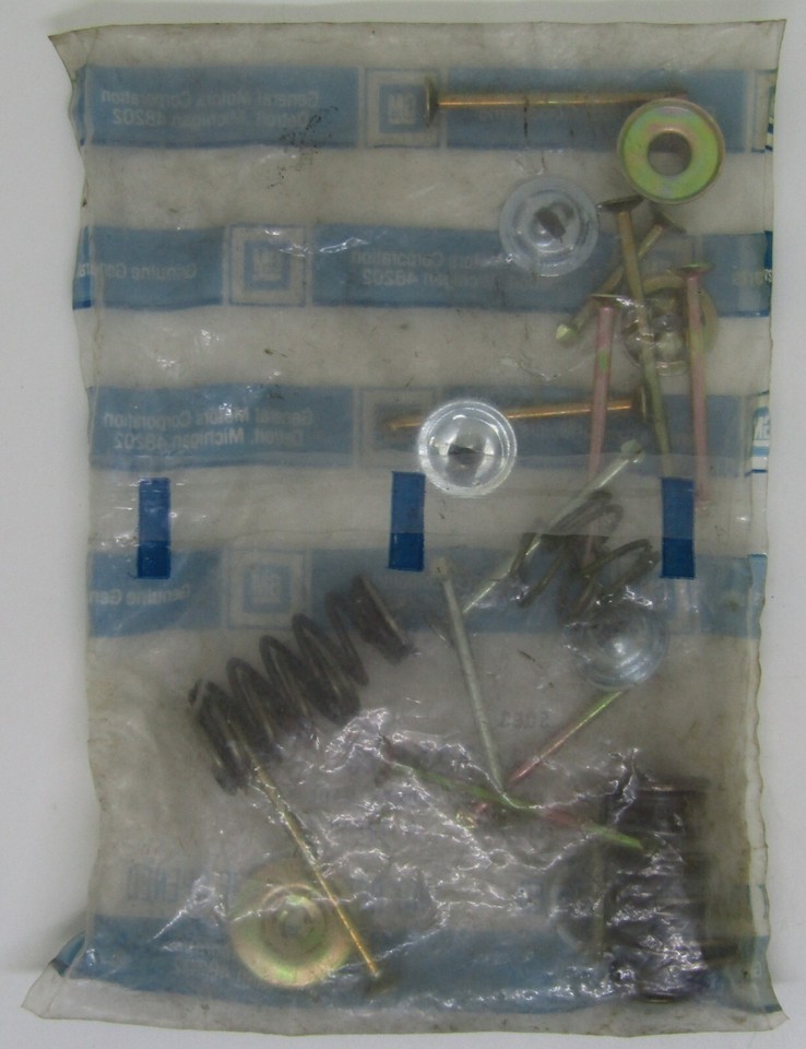 NEW GENUINE GM GENERAL MOTORS OEM SPRING & PIN KIT PART NO. 325075 | eBay