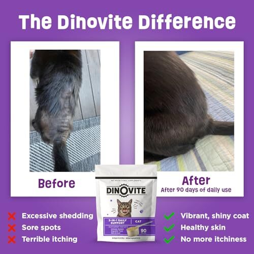 Dinovite for Cats Supplement Immune + Digestive Skin + Coat Support ...