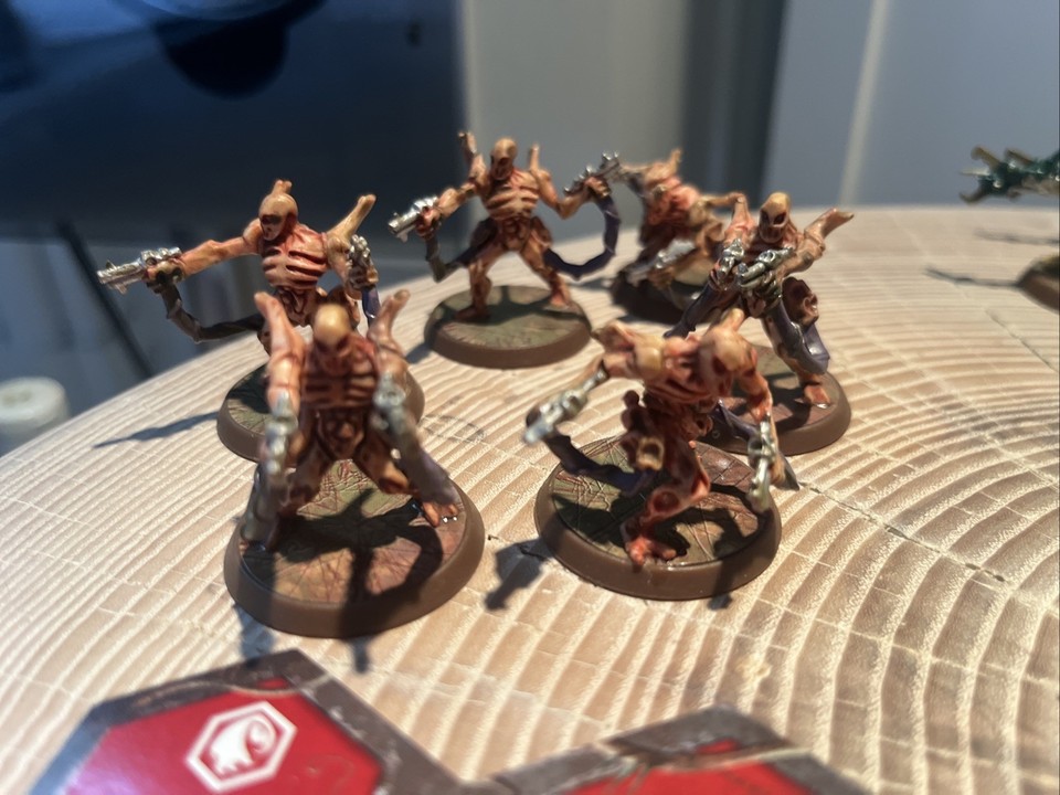 Heroscape Marro Army Lot Ne-Gok-Sa Warriors Stingers Drudge Nagrubs ...